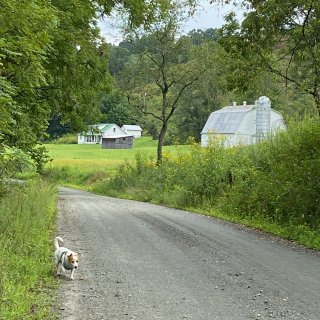 Twin Rivers Family Campground - Crumpler, North Carolina - RV LIFE ...